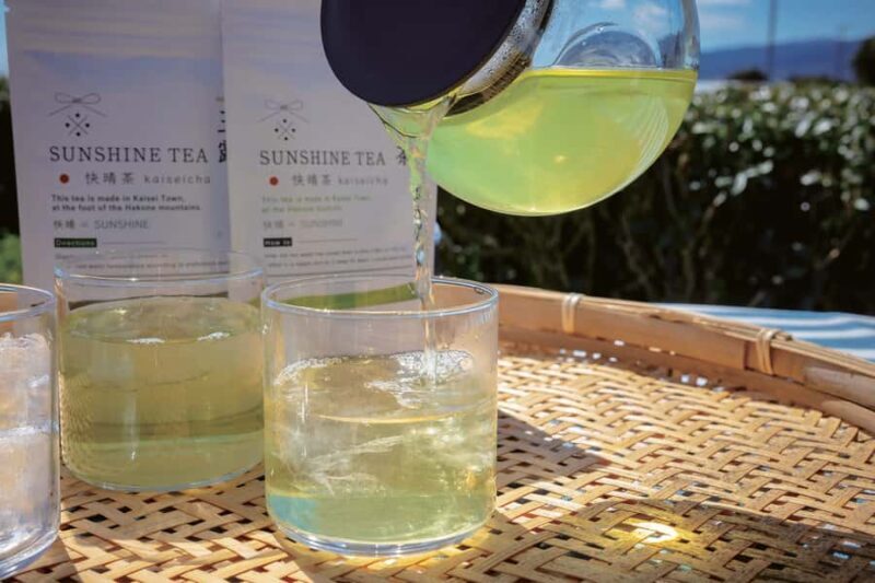 From Tokyo: Kaisei Tea Leaf Picking & Farm-to-Table Lunch - Authenticity and Value