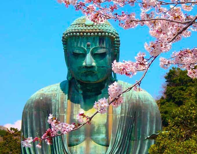 From Tokyo: Kamakura and Enoshima Full-Day Private Trip - A Deep Dive into the Kamakura and Enoshima Private Tour