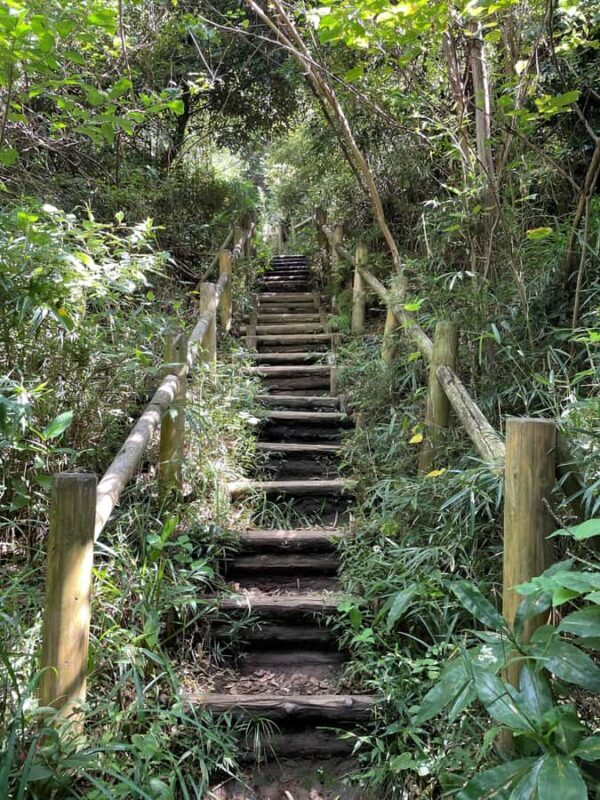 From Tokyo: Kamakura Daibutsu Trail & Tour to Great Buddha - Key Points