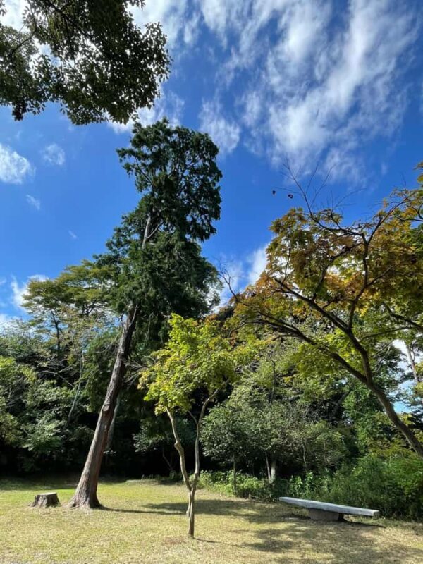 From Tokyo: Kamakura Daibutsu Trail & Tour to Great Buddha - An In-Depth Look at the Kamakura Daibutsu Trail Tour