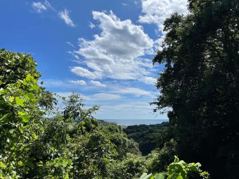 From Tokyo: Kamakura Daibutsu Trail & Tour to Great Buddha - Final Thoughts