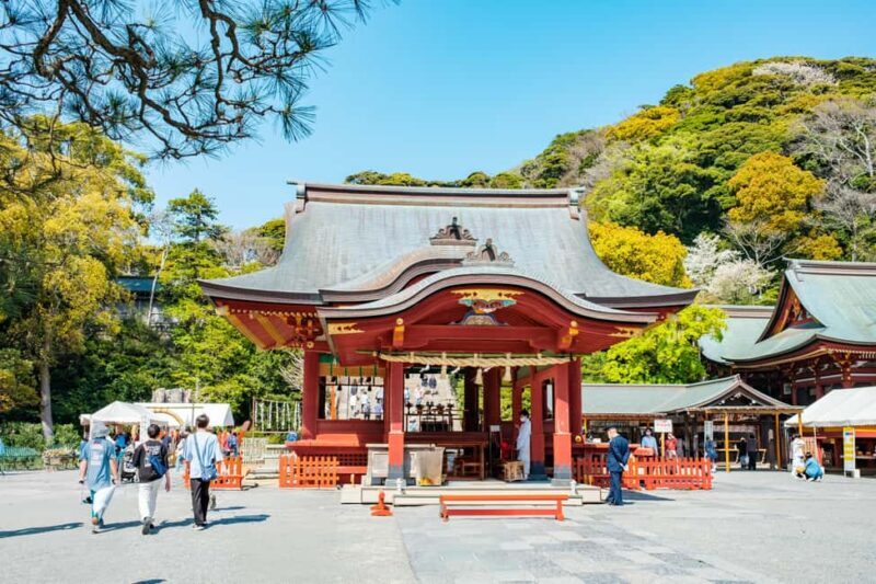 From Tokyo: Kamakura Full Day Private Custom Tour - Who Is This Tour Best For?