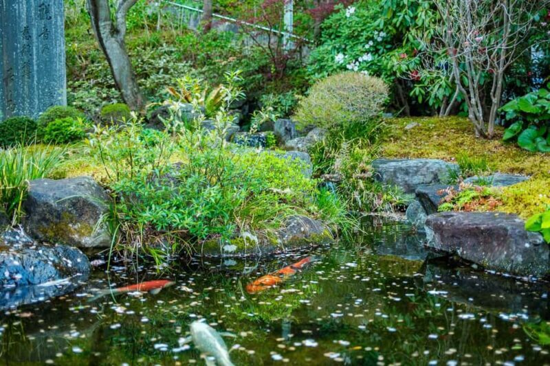 From Tokyo: Kamakura Full Day Private Custom Tour - FAQ