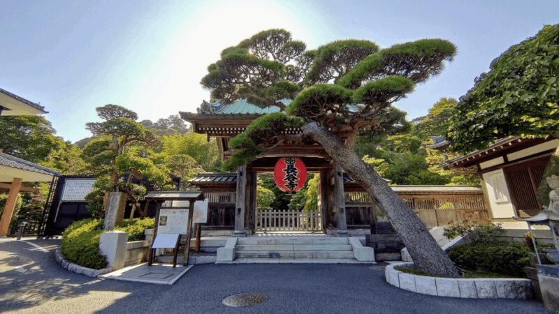 From Tokyo: Kamakura Full Day Tour with a Local Expert Guide - FAQ