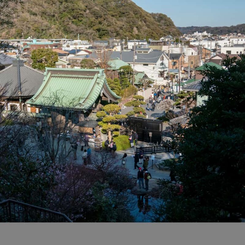 From Tokyo: Kamakura Private Historical & Cultural Day Trip - Key Points