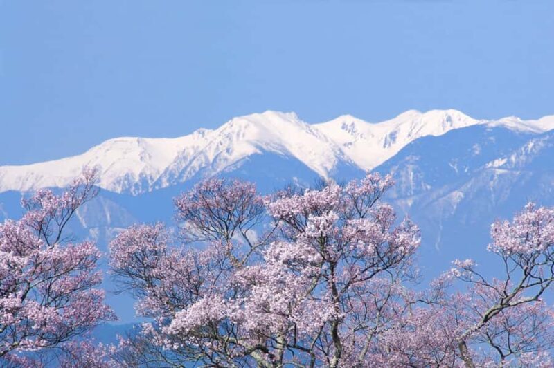 From Tokyo: Kawagoe Highlights & Karuizawa Resort Day Trip - An Introduction to the Experience