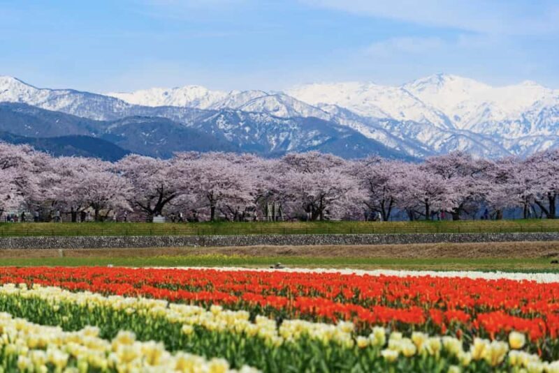 From Tokyo: Kawagoe Highlights & Karuizawa Resort Day Trip - Who Would Love This Tour?