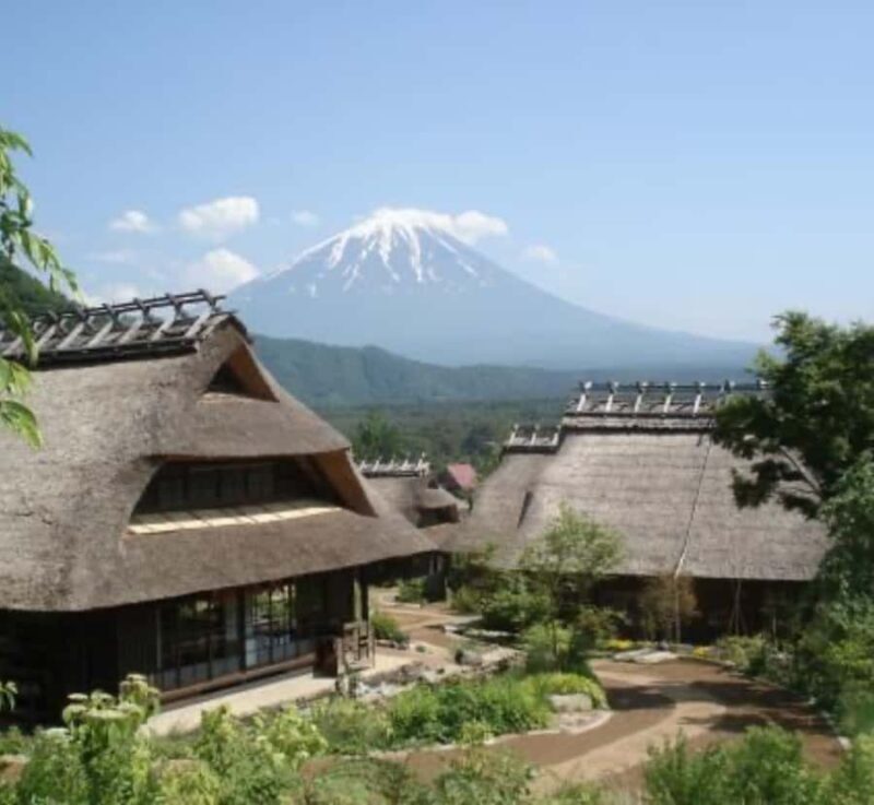 From Tokyo: Mount Fuji and Hakone Customizable Private Tour - Final Thoughts: Who Is This Tour Best For?
