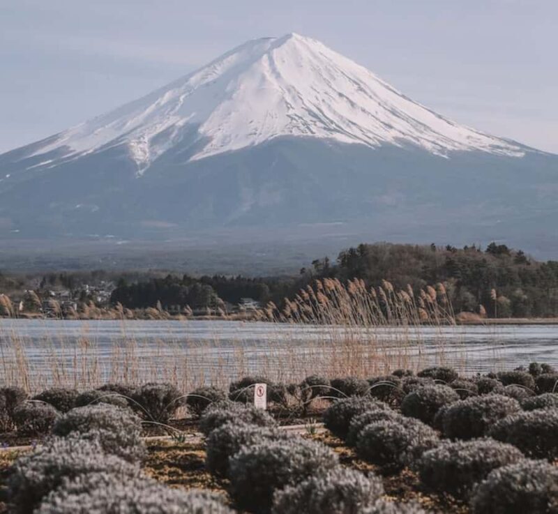 From Tokyo: Mount Fuji and Hakone Customizable Private Tour - Introduction: Why Consider This Tour?