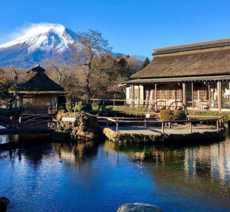 From Tokyo: Mount Fuji and Hakone Customizable Private Tour - Who Should Take This Tour?