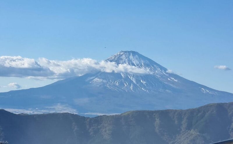 From Tokyo: Mount Fuji and Hakone Private Day Tour - Who Should Consider This Tour?
