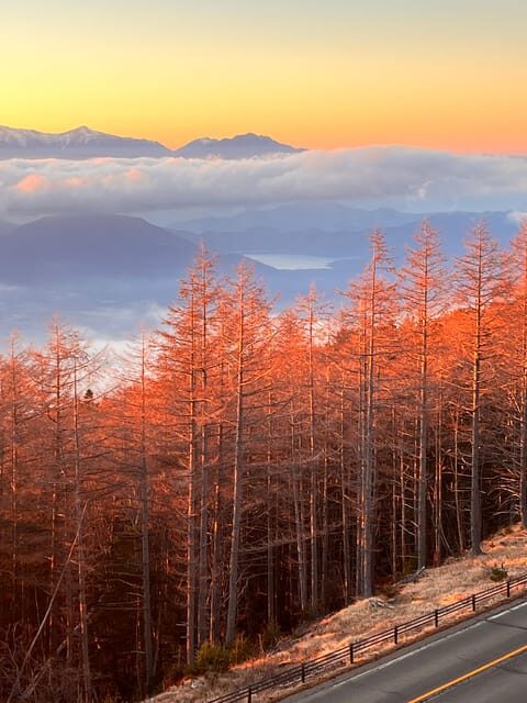 From Tokyo: Mount Fuji and Hakone Private Day Trip - Key Points