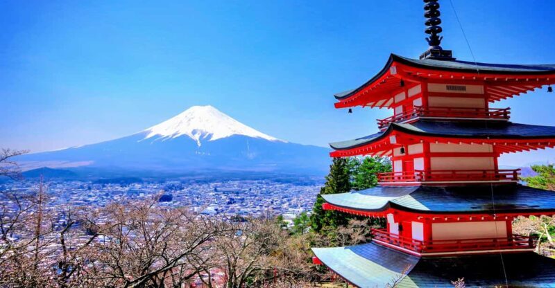 From Tokyo: Mount Fuji and Hakone Private Day Trip - The Itinerary & What to Expect