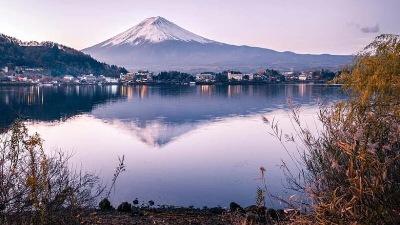 From Tokyo: Mount Fuji And Hakone Private Full Day Trip - What Makes the Experience Special?