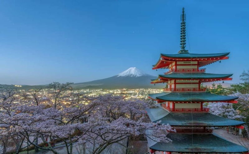 From Tokyo: Mount Fuji And Hakone Private Full Day Trip - Considering the Cost and Value