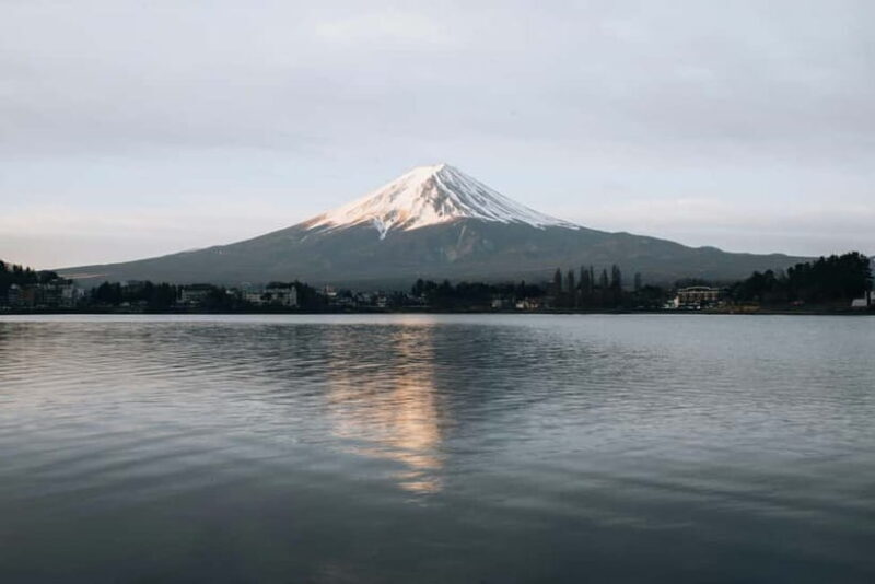 From Tokyo: Mount Fuji And Hakone Private Full Day Trip - Who Should Consider This Tour?