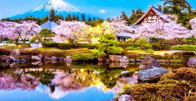 From Tokyo: Mount Fuji And Hakone Private Full Day Trip - The Comfort and Flexibility of a Private Car