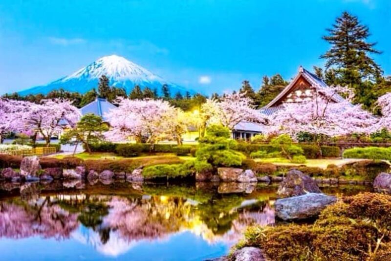 From Tokyo: Mount Fuji And Hakone Private Full Day Trip - First Stop: Chureito Pagoda - Picture-Perfect Views