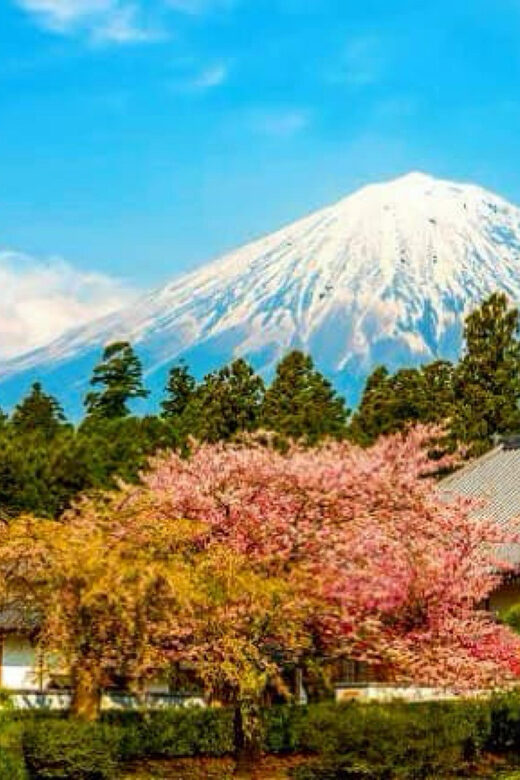 From Tokyo: Mount Fuji And Hakone Private Full Day Trip - The Spiritual Significance of Kitaguchi Hongu Fuji Sengen Shrine