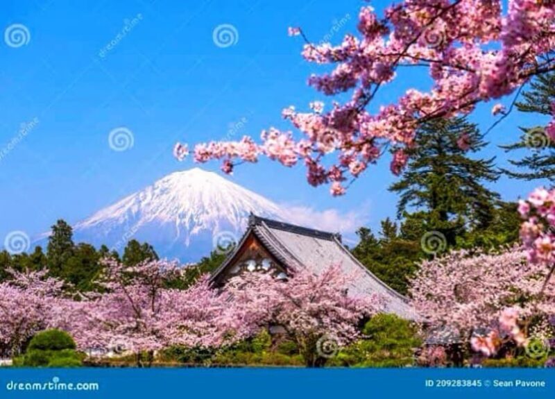 From Tokyo: Mount Fuji And Hakone Private Full Day Trip - Optional: Hakone’s Ropeway and Lake Ashi — Tailor Your Adventure