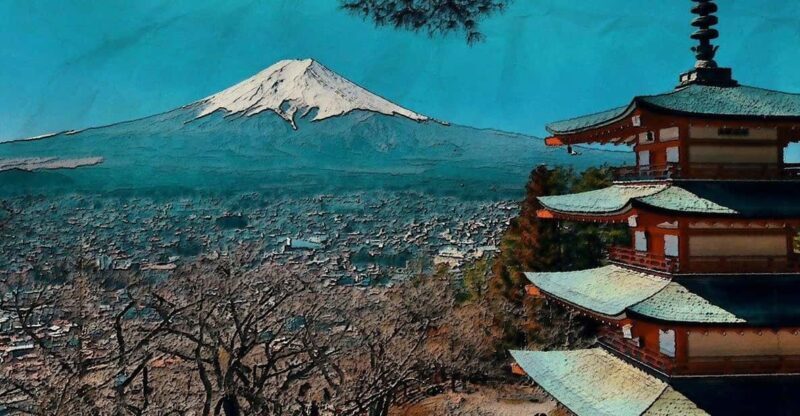 From Tokyo: Mount Fuji And Hakone Private Guided Day Trip - The Itineraries: Customizing Your Day