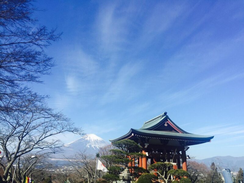From Tokyo: Mount Fuji And Hakone Private Guided Day Trip - Practical Tips for Travelers