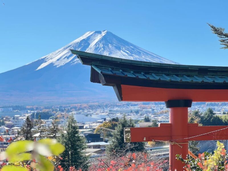 From Tokyo MOUNT FUJI and Lake Kawaguchi-ku Full Day Tour - What You Can Expect on the Day