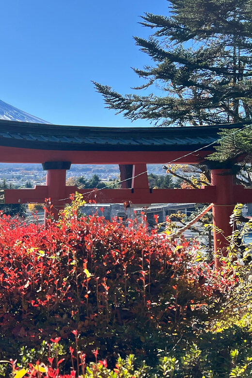 From Tokyo MOUNT FUJI and Lake Kawaguchi-ku Full Day Tour - Frequently Asked Questions