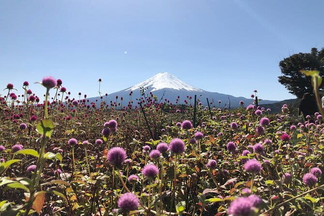 From Tokyo: Mount Fuji, Cruise and Sake Tasting Tour - The Itinerary in Detail