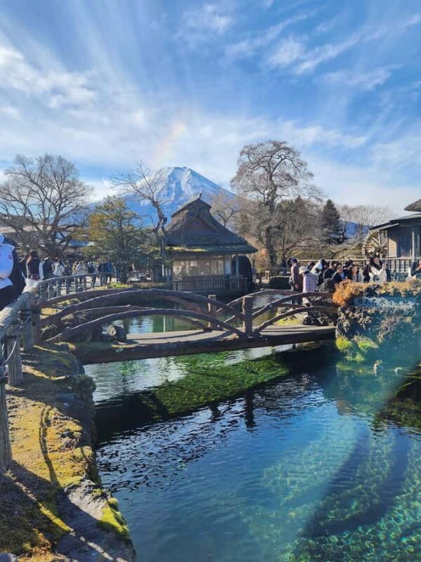 From Tokyo: Mount Fuji Customizable Guided Private Tour - An In-Depth Look at What to Expect