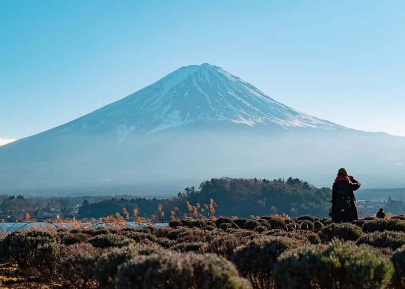 From Tokyo: Mount Fuji Customizable Guided Private Tour - Practical Details and Tips