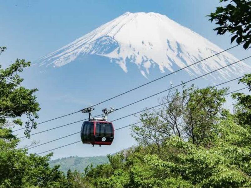 From Tokyo: Mount Fuji Customizable Private Tour with Driver - Key Points