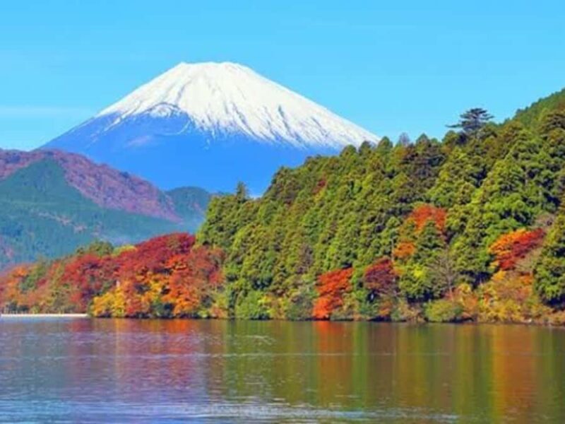 From Tokyo: Mount Fuji Customizable Private Tour with Driver - Final Thoughts