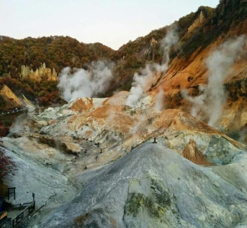 From Tokyo: Mount Fuji Customizable Private Tour with Guide - FAQs