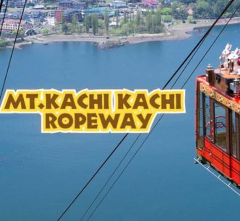 From Tokyo: Mount Fuji Customizable Private Tour with Guide - Practical Details & Considerations