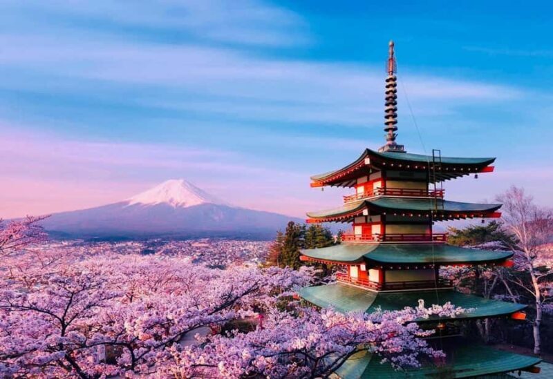 From Tokyo: Mount Fuji customizable Private Tour with Guide - Key Points