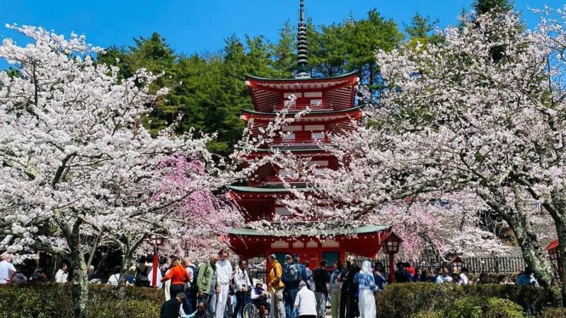 From Tokyo : Mount Fuji Customizable tour in private car - Key Points