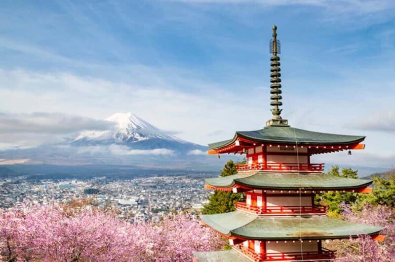 From Tokyo : Mount Fuji Customizable tour in private car - The Experience: What Travelers Say