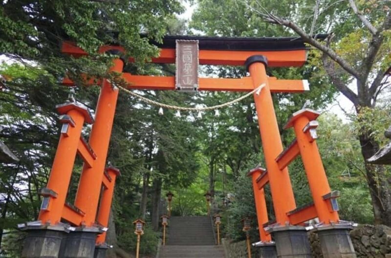 From Tokyo : Mount Fuji Customizable tour in private car - Practical Details and Value