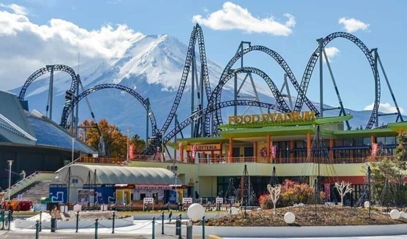 From Tokyo : Mount Fuji Customizable tour in private car - Who Will Love This Tour?