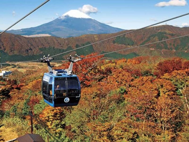 From Tokyo: Mount Fuji Customized Tour With English Guide - An In-Depth Look at the Tour Experience
