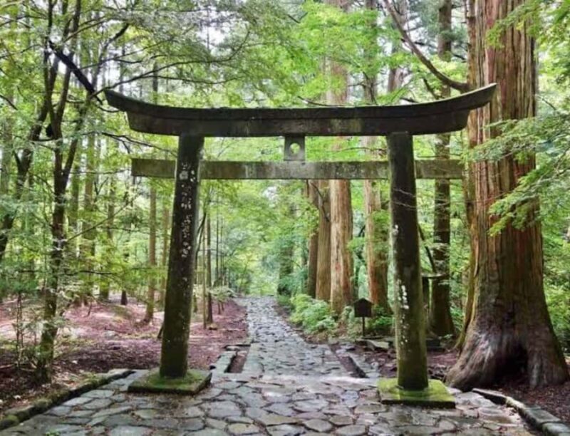 From Tokyo: Mount Fuji Customized Tour With English Guide - FAQ