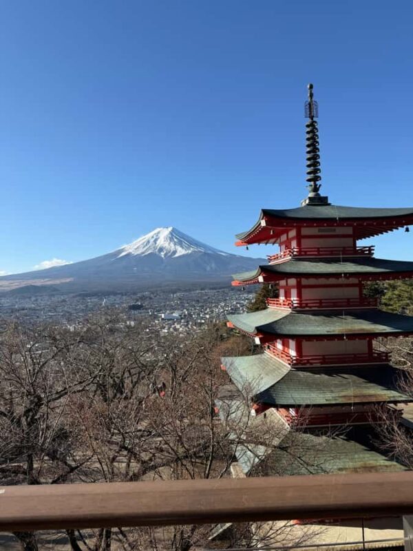 From Tokyo: Mount Fuji Customized Tour With Guide - Why Choose This Tour?