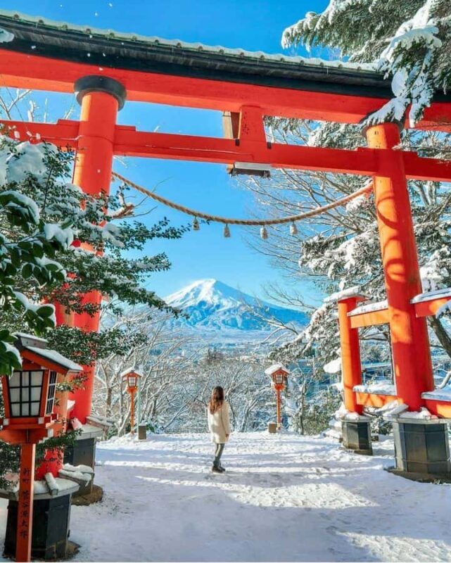 From Tokyo: Mount Fuji Customized Tour With Guide - Final Verdict