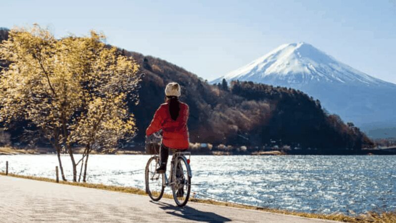 From Tokyo: Mount Fuji Full Customized Tour English Guide - Key Points