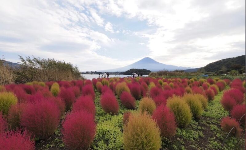 From Tokyo: Mount Fuji Full Customized Tour English Guide - FAQs