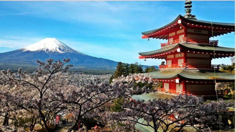 From Tokyo: Mount Fuji Full Day Customizable Private Tour - Who Should Take This Tour?
