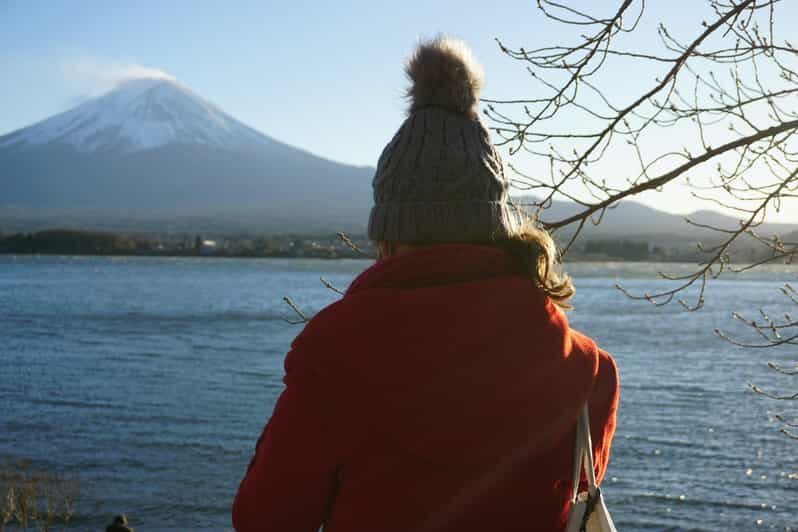 From Tokyo: Mount Fuji Full Day Customizable Private Tour - An In-Depth Look at the Tour Itself