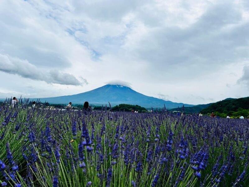 From Tokyo: Mount Fuji Full Day Customizable Private Tour - The Sum Up: Is This Tour Right for You?