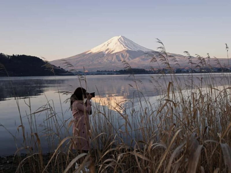 From Tokyo: Mount Fuji Full-Day Customizable Private Tour - An Overview of the Experience